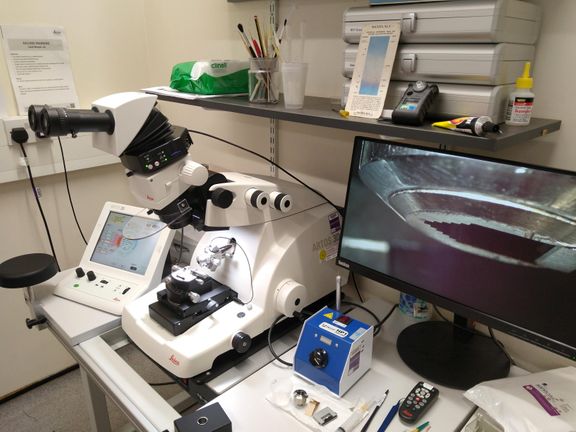 Leica Artos 3D Array Tomography - Durham University